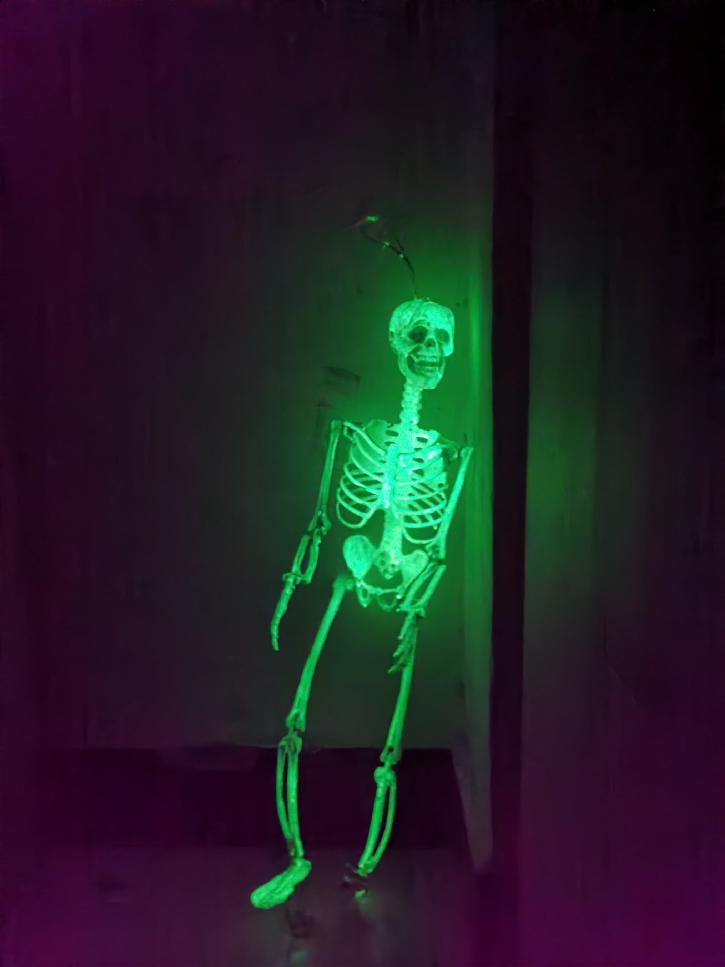 Wholesale KLGJ Halloween Skeleton Props - 90CM,170CM,70CM,40CM, White ...
