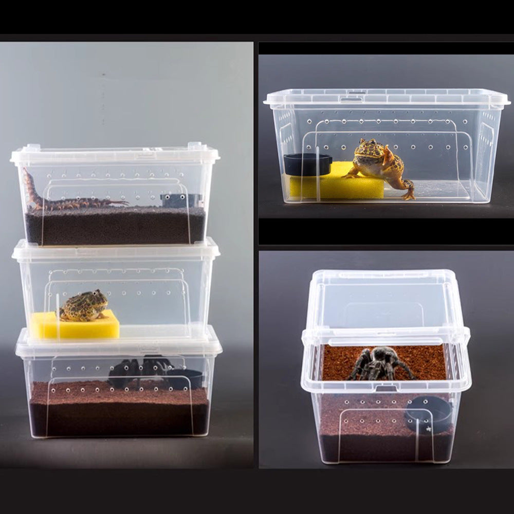 Wholesale Transparent Plastic Turtle Breeding Box with Breathable Holes ...