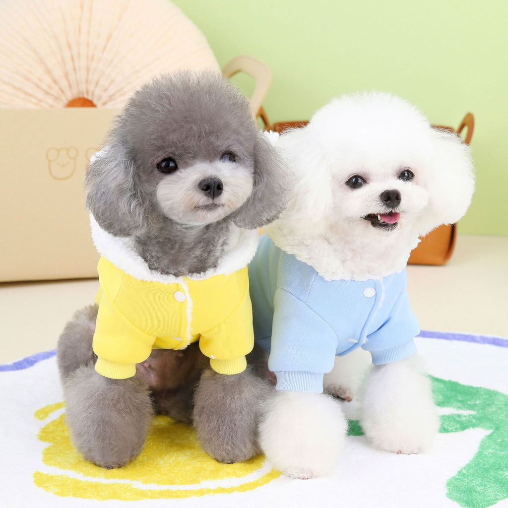 Wholesale Fashionable Pet Clothes for Dogs & Cats - Autumn & Winter ...